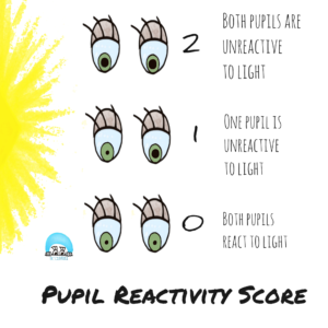 What is the Glasgow coma scale? - The Scrub Nurse